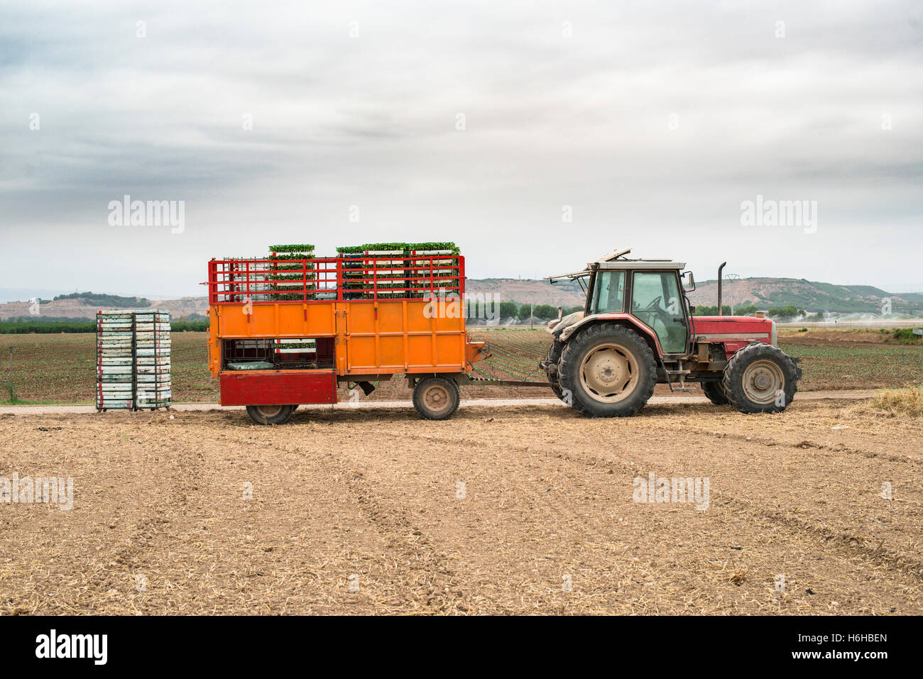 Tracteur de semis Banque de photographies et d’images à haute ...