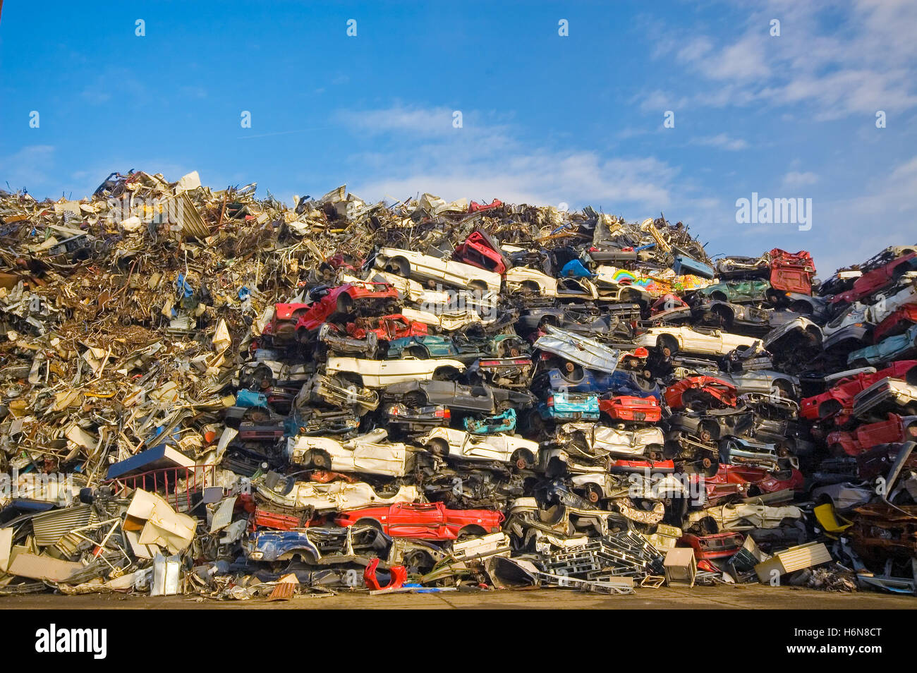 Squashed by wheels Banque de photographies et d’images à haute ...