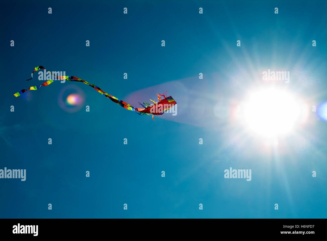 Queue de dragon Banque de photographies et d’images à haute résolution ...