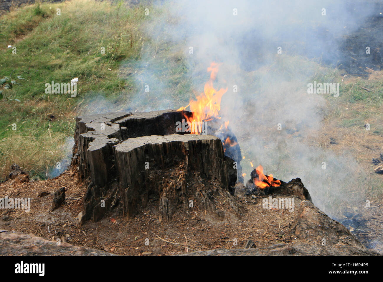 Fumée fumer fume fume noir bois risque danger tree jetblack basané deep ...