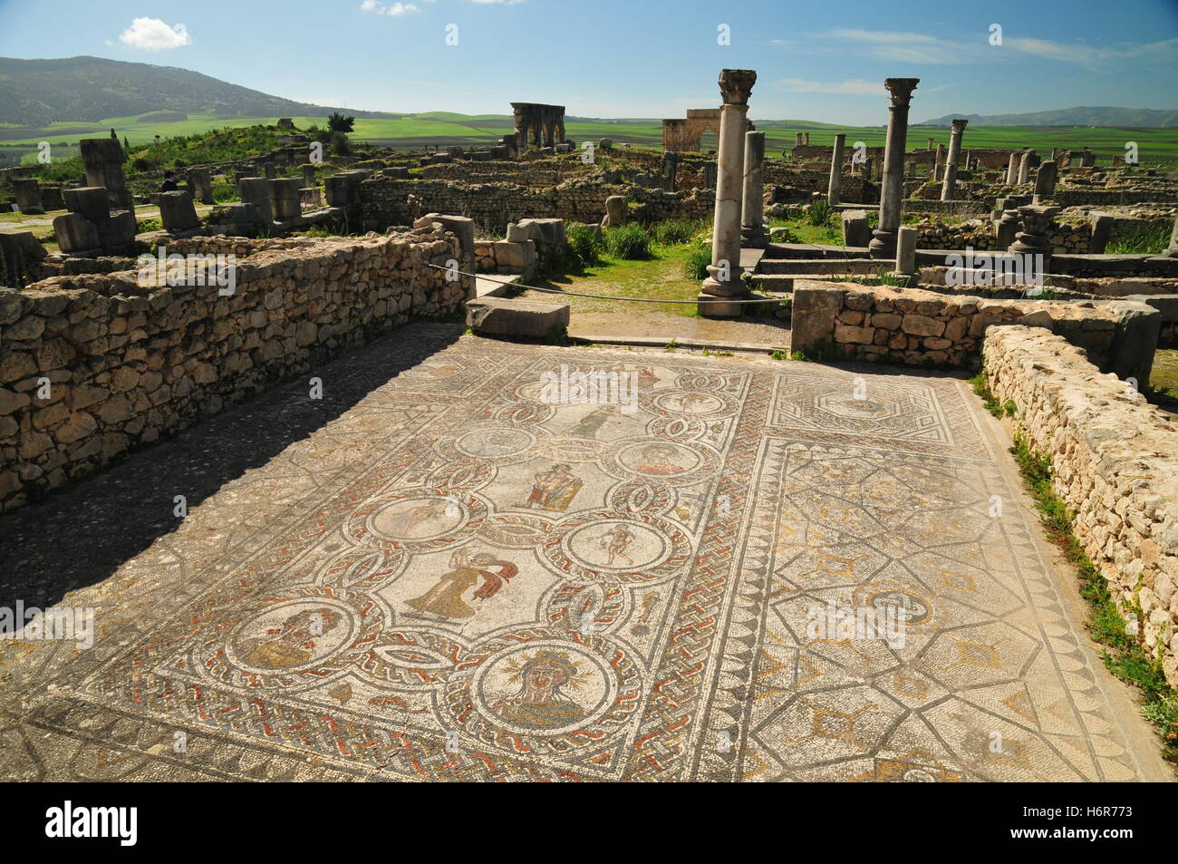 Volubilis maroc mosaiques Banque de photographies et d’images à haute ...