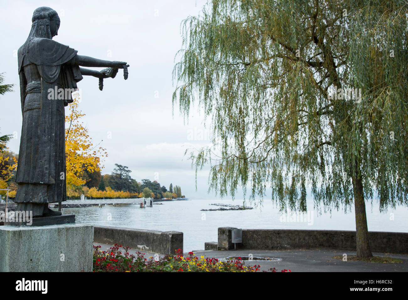 Les animaux reconnaissants Banque de photographies et d’images à haute ...