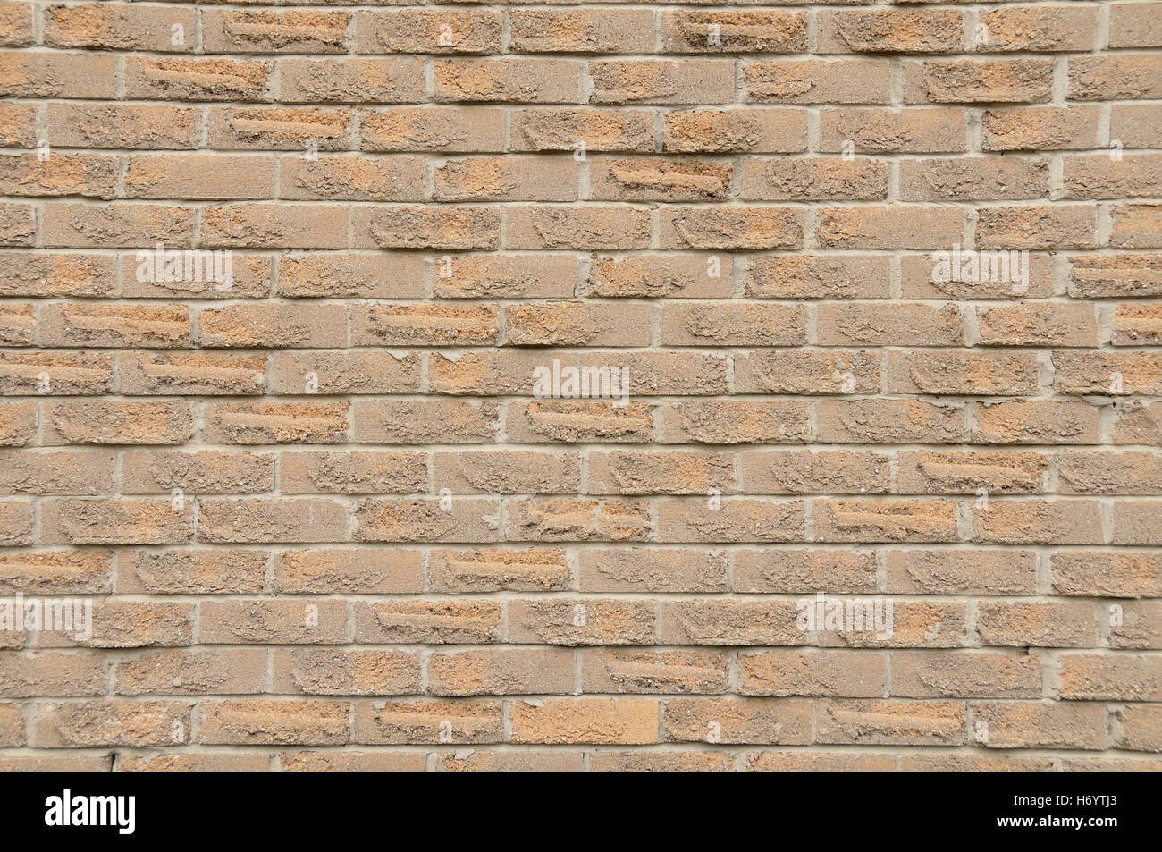 Mur de briques beige Banque de photographies et d’images à haute ...