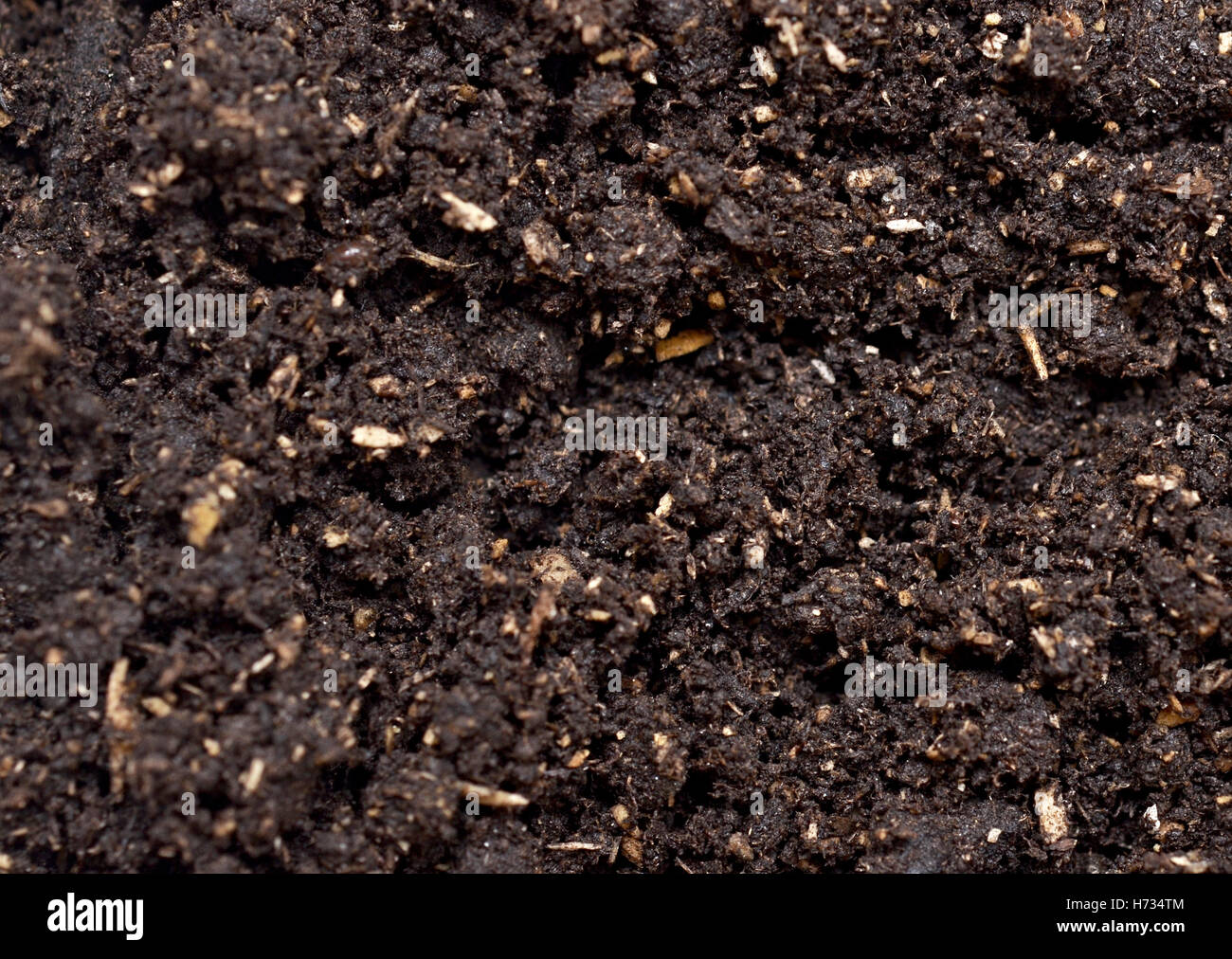 Soil texture Banque de photographies et d’images à haute résolution - Alamy