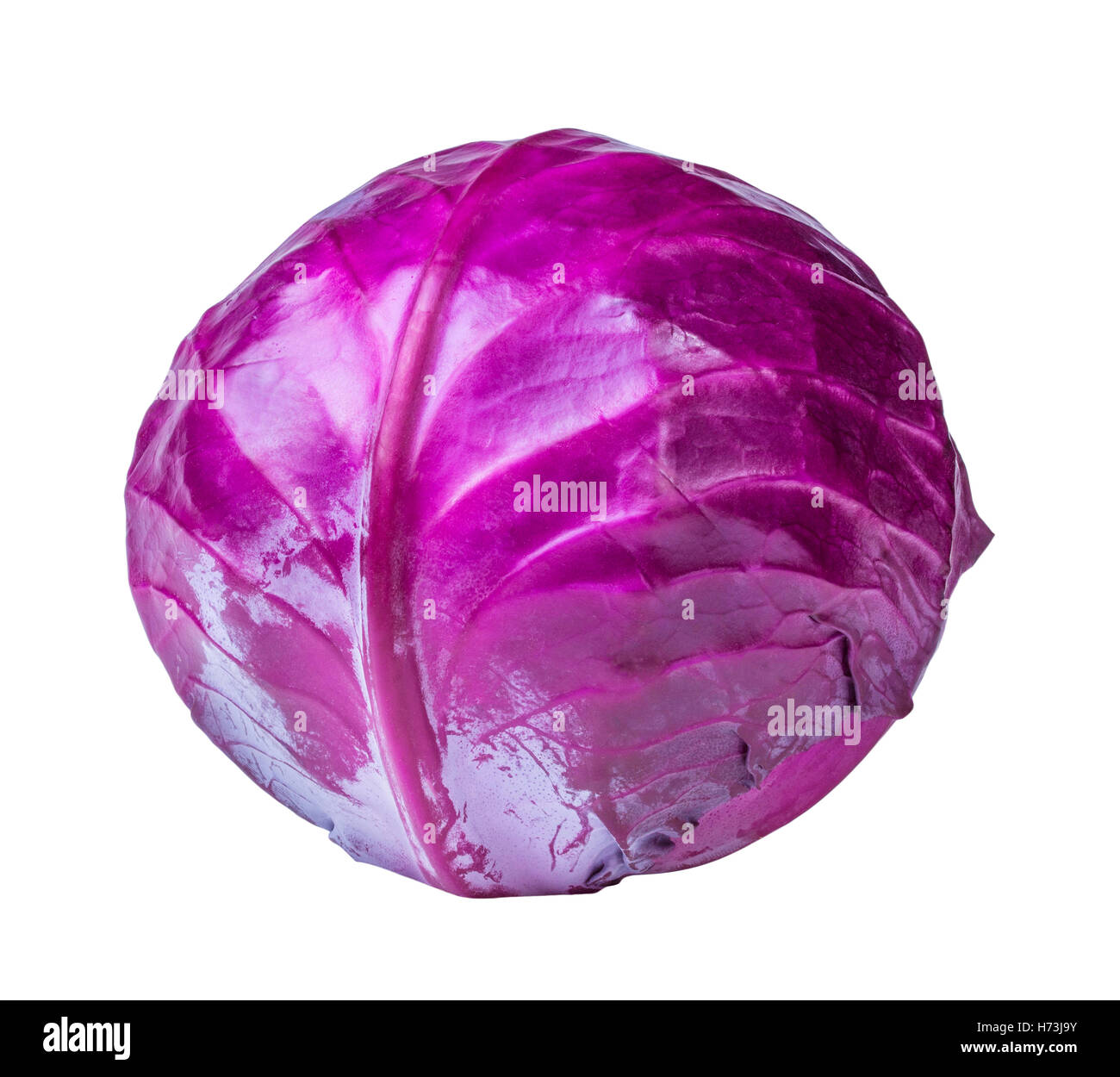 Chou mauve ou chou rouge Banque de photographies et d’images à haute ...