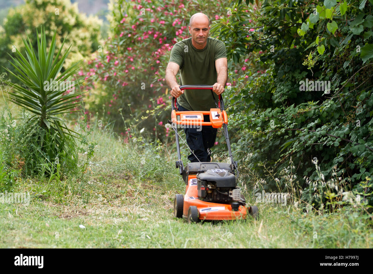Jardinier de couper le gazon avec tondeuse Photo Stock - Alamy
