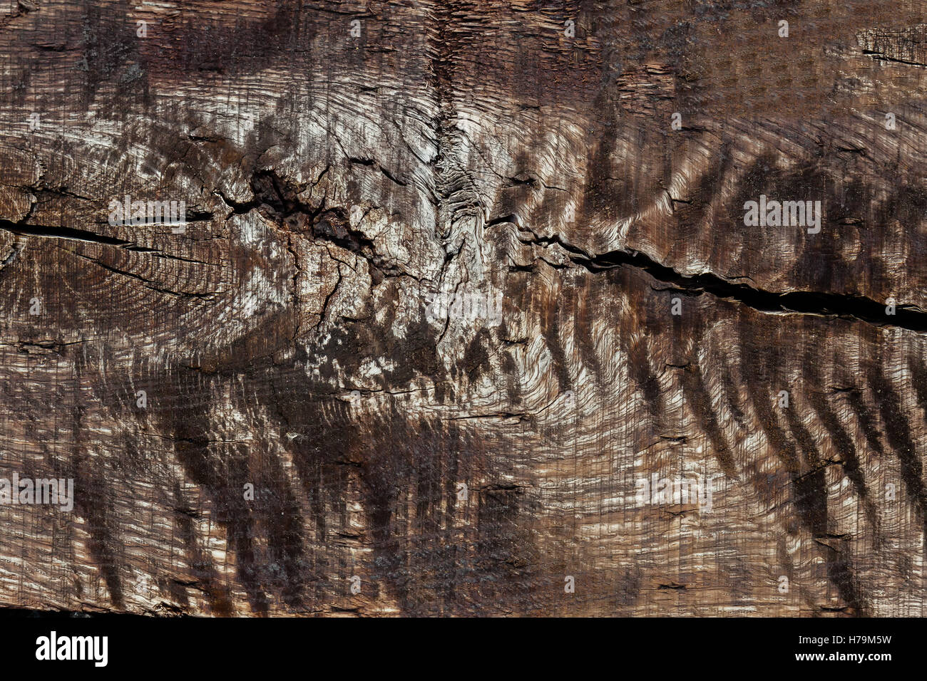 La texture de la texture du bois bois matériau, bois ancien Photo Stock ...