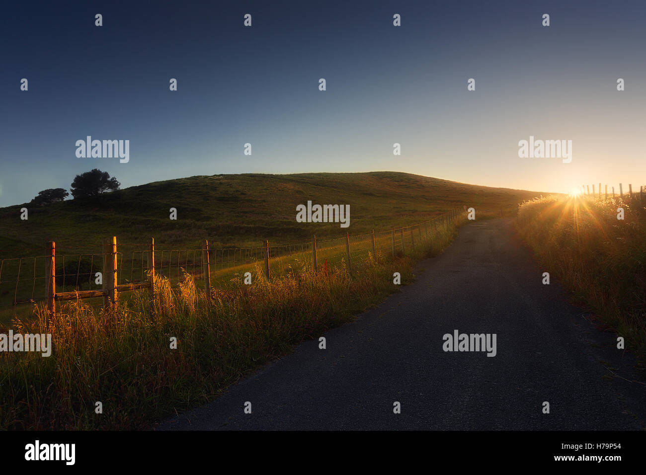 Chemin dans la campagne Banque de photographies et d’images à haute ...