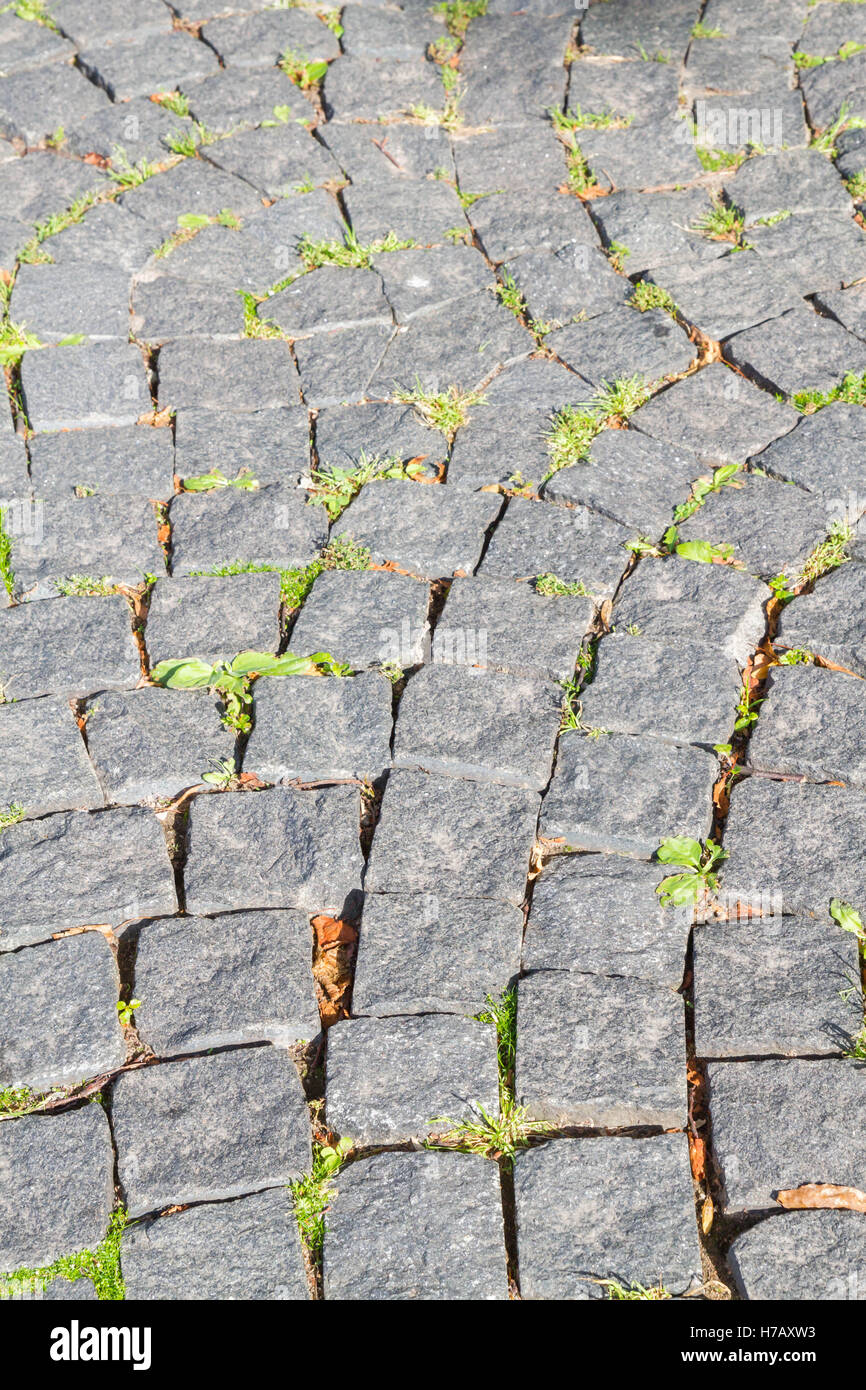 Route en pierre plate Banque de photographies et d’images à haute ...