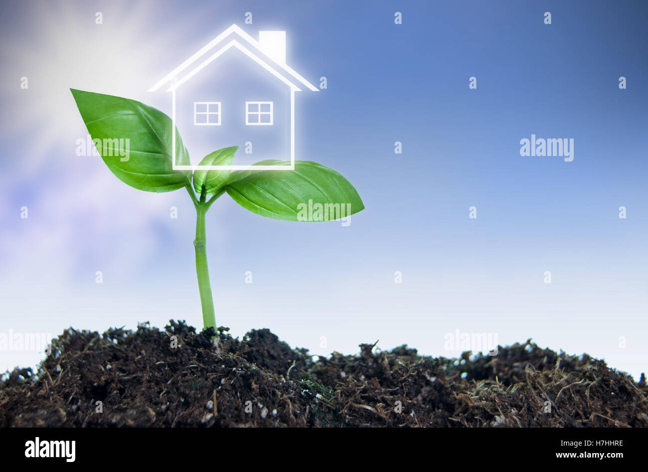 Plantule à nouveau symbole maison Photo Stock - Alamy