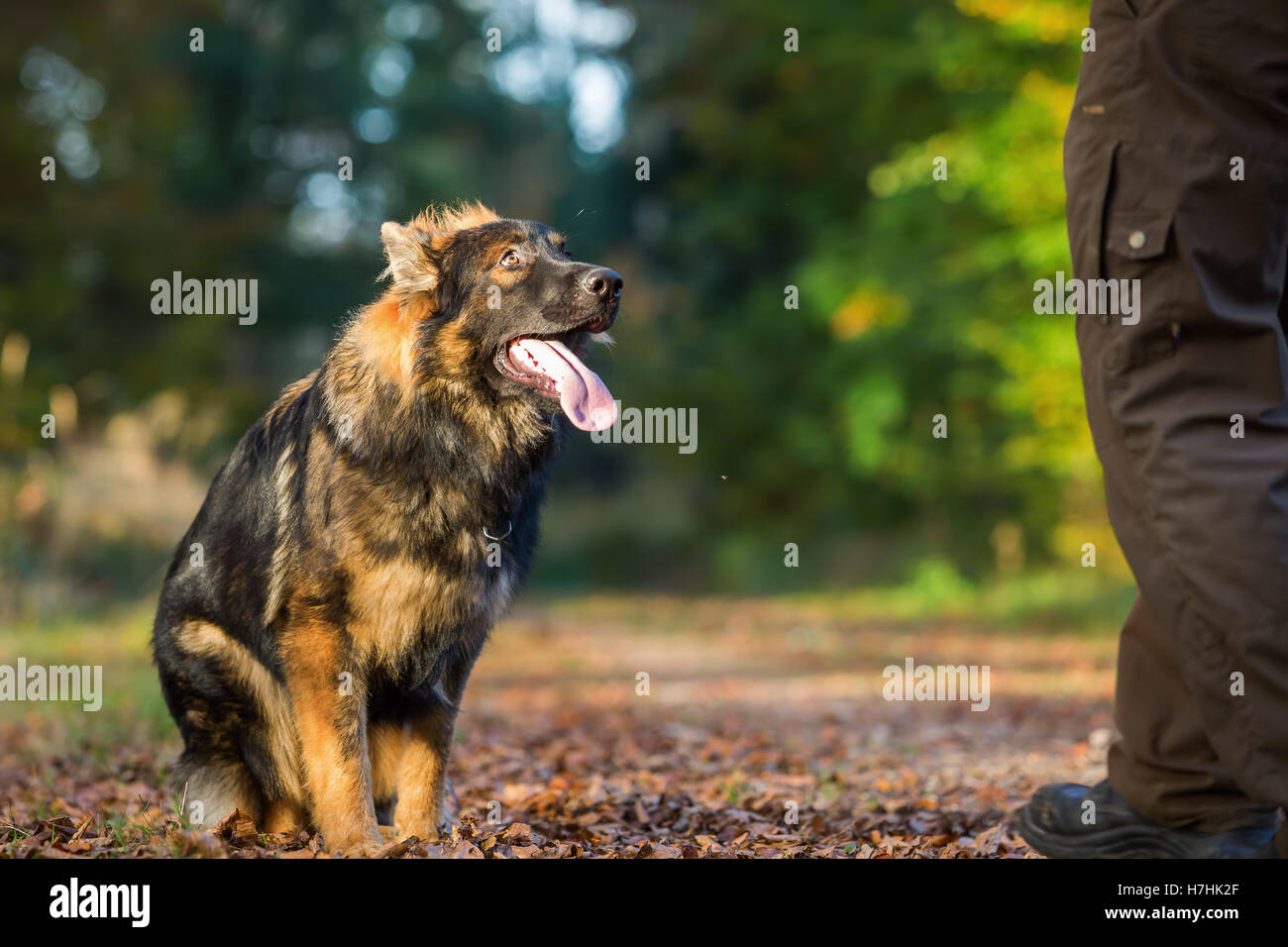 Submissive man Banque de photographies et d’images à haute résolution ...
