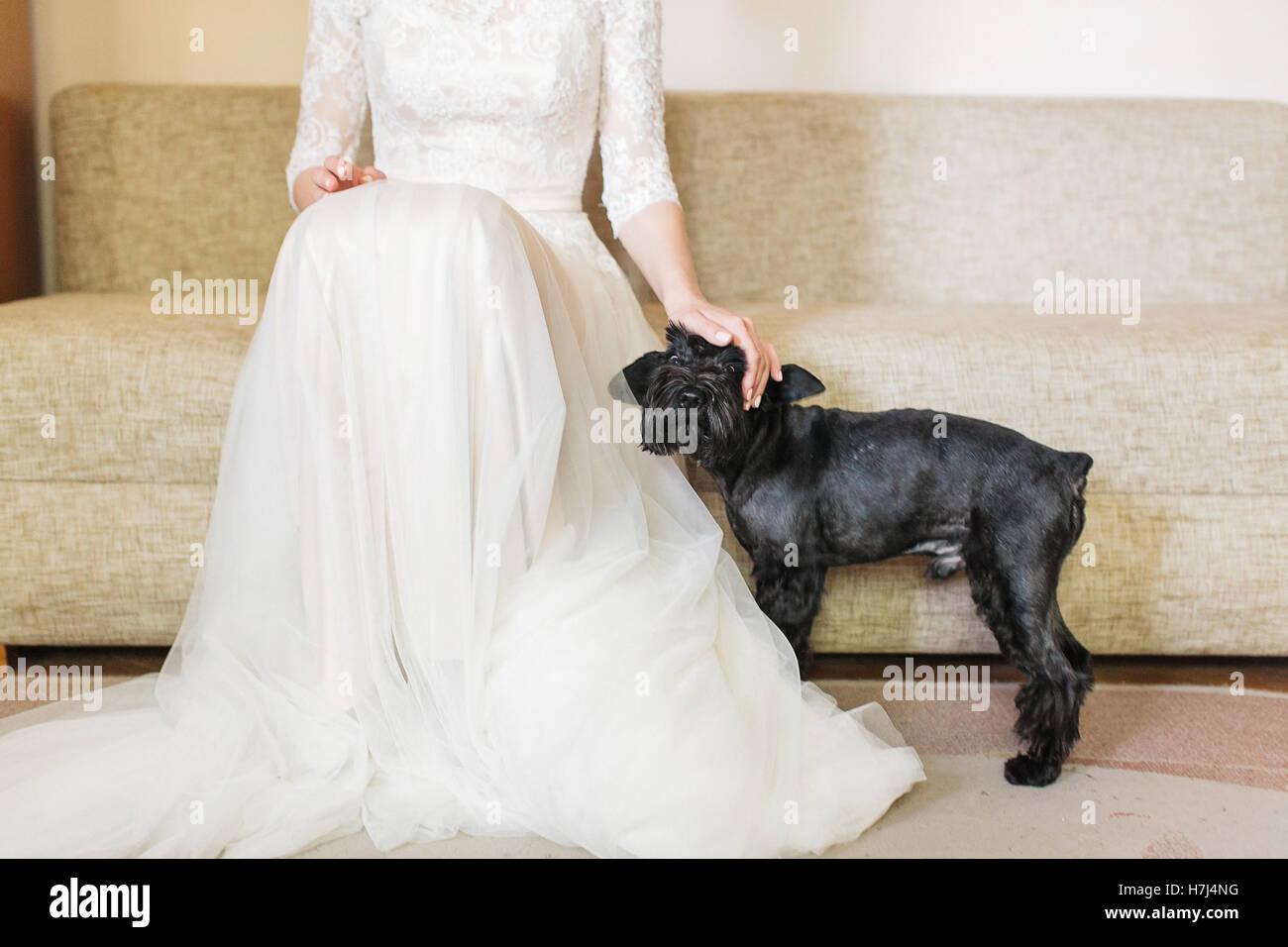 Chien de la mariée Banque de photographies et d’images à haute ...