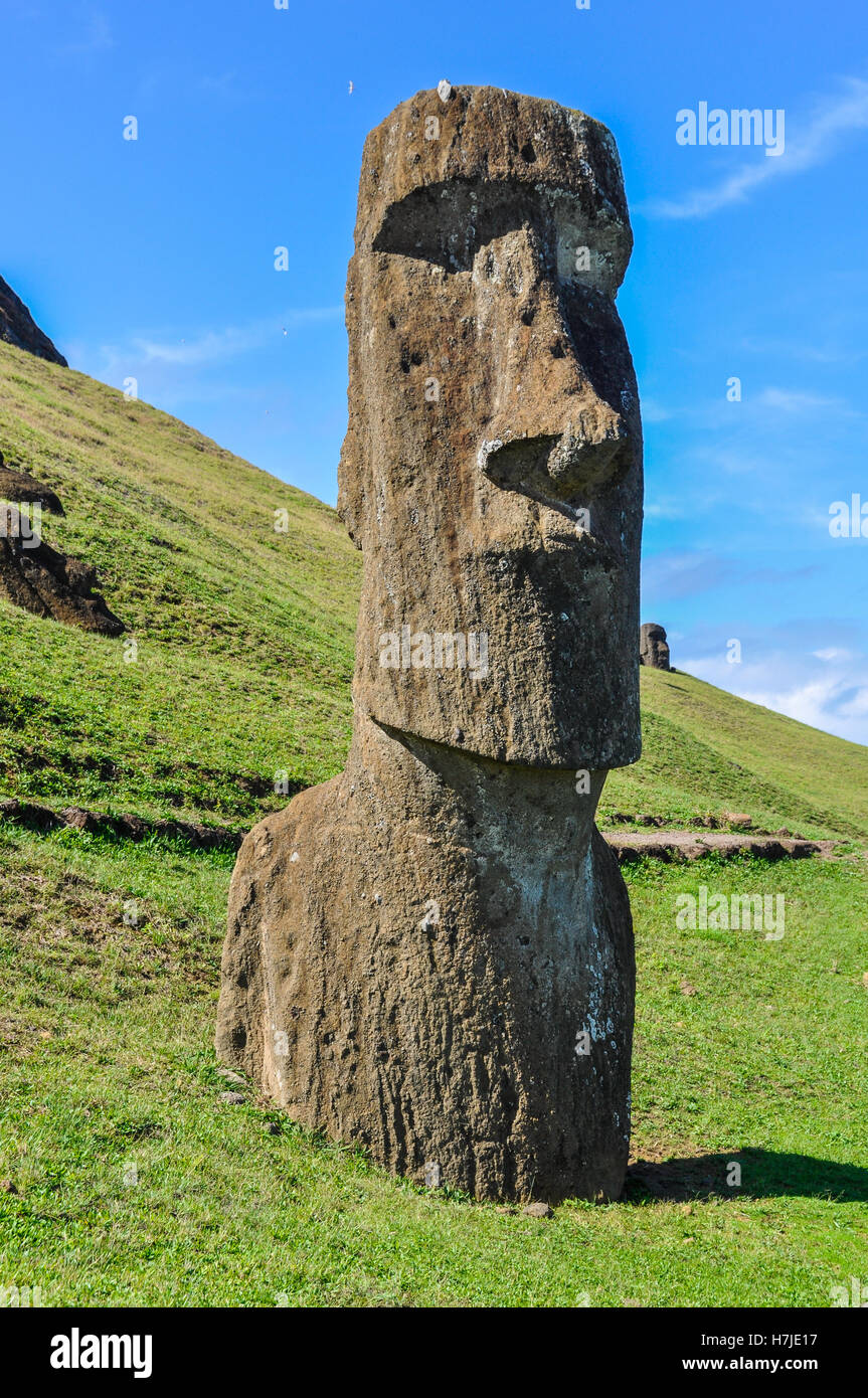 Moai statues dans le Volcan Rano Raraku dans l'île de Pâques, Chili ...