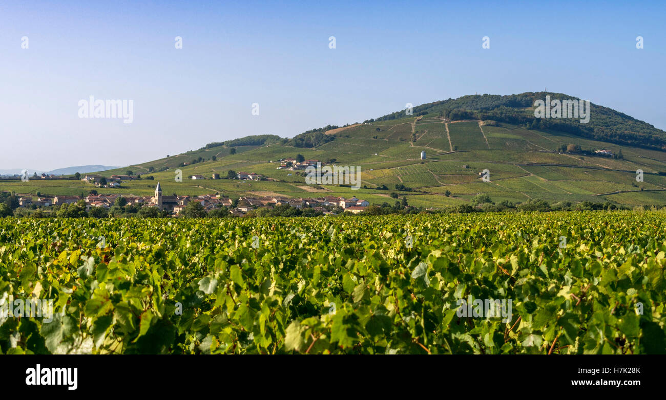 Mont brouilly Banque de photographies et d’images à haute résolution ...