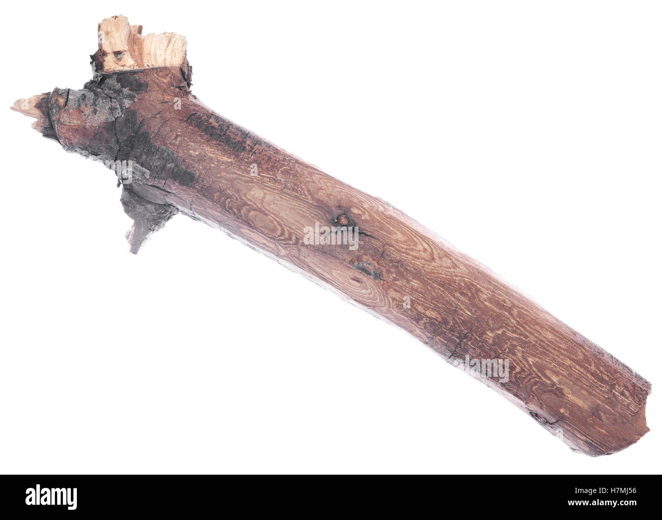 Vieux tronc d'arbre horizontal Banque d'images détourées - Alamy