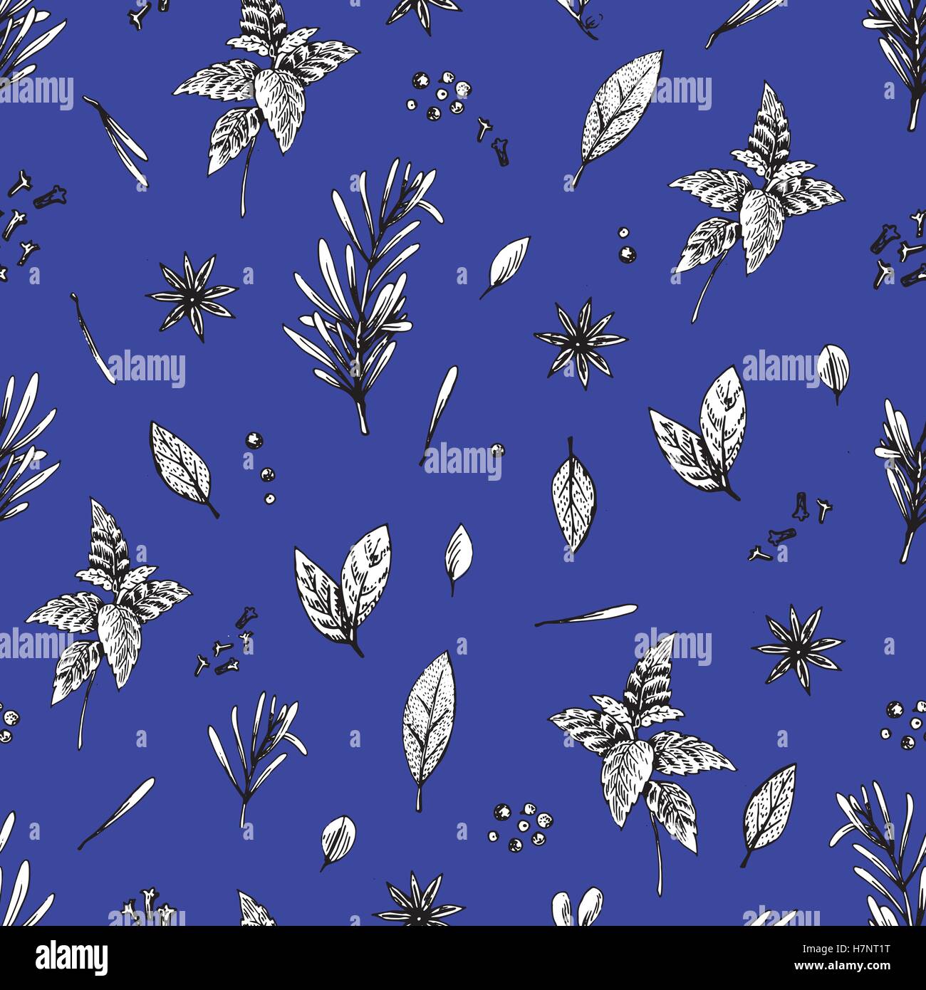 Transparente avec motif vecteur chaux dessiné à la main et d'épices. La ...