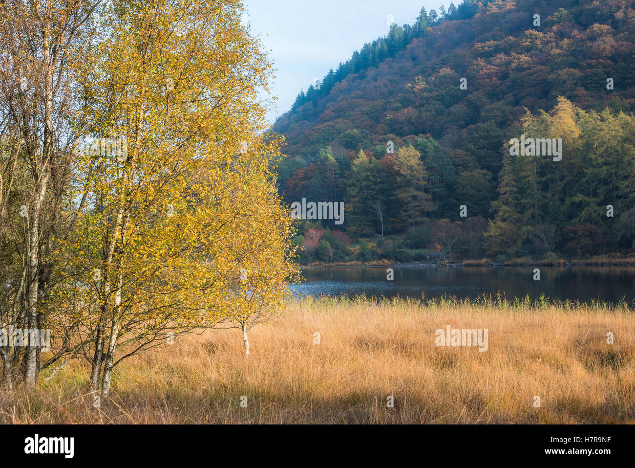 Lacs de montagne en irlande Banque de photographies et d’images à haute ...