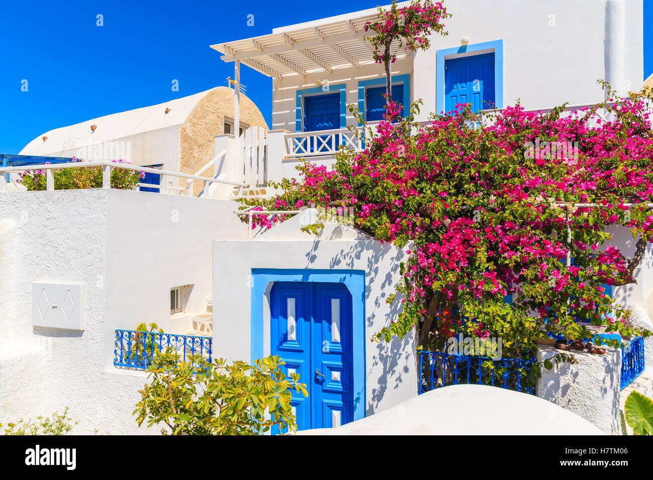 Blanc et bleu typique maison grecque décorée de fleurs rouges à Oia ...
