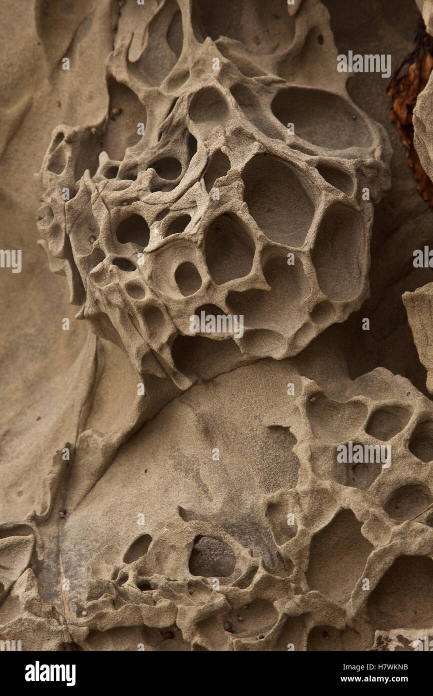 La météorisation caverneux en grès boulder, Kaikoura, Canterbury ...
