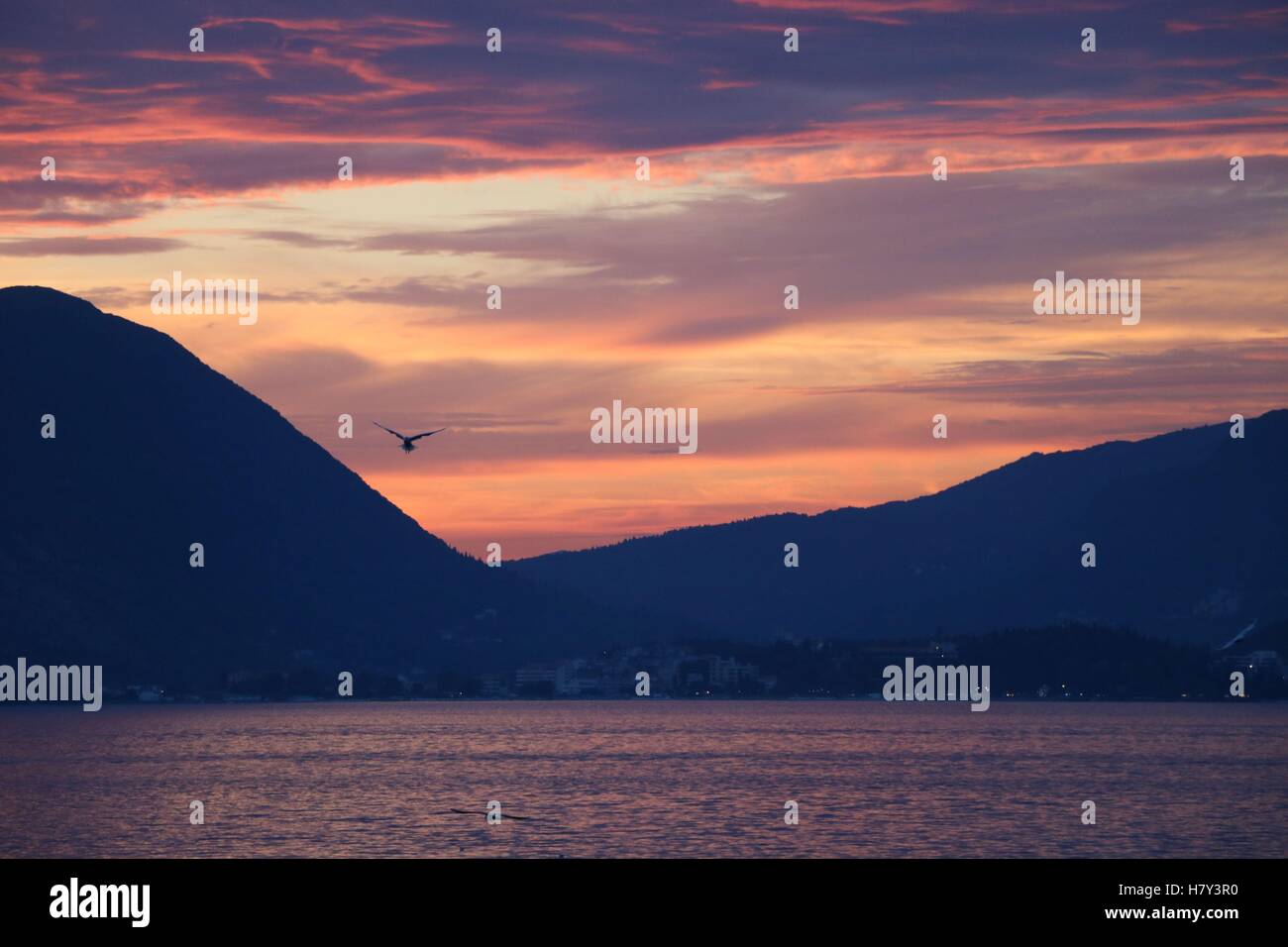 Magnifique coucher de soleil avec bird flying disponibles en haute ...