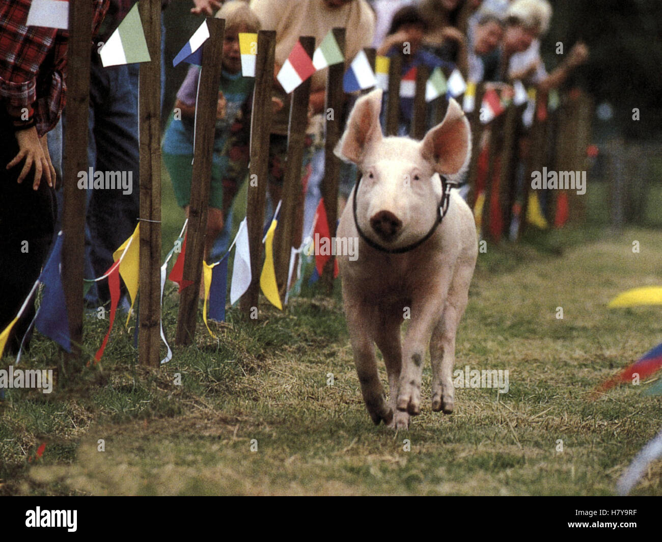 Rudi Rüssel Rennschwein RENNSCHWEIN RUDI RÜSSEL, (D) 1994, Regie ...