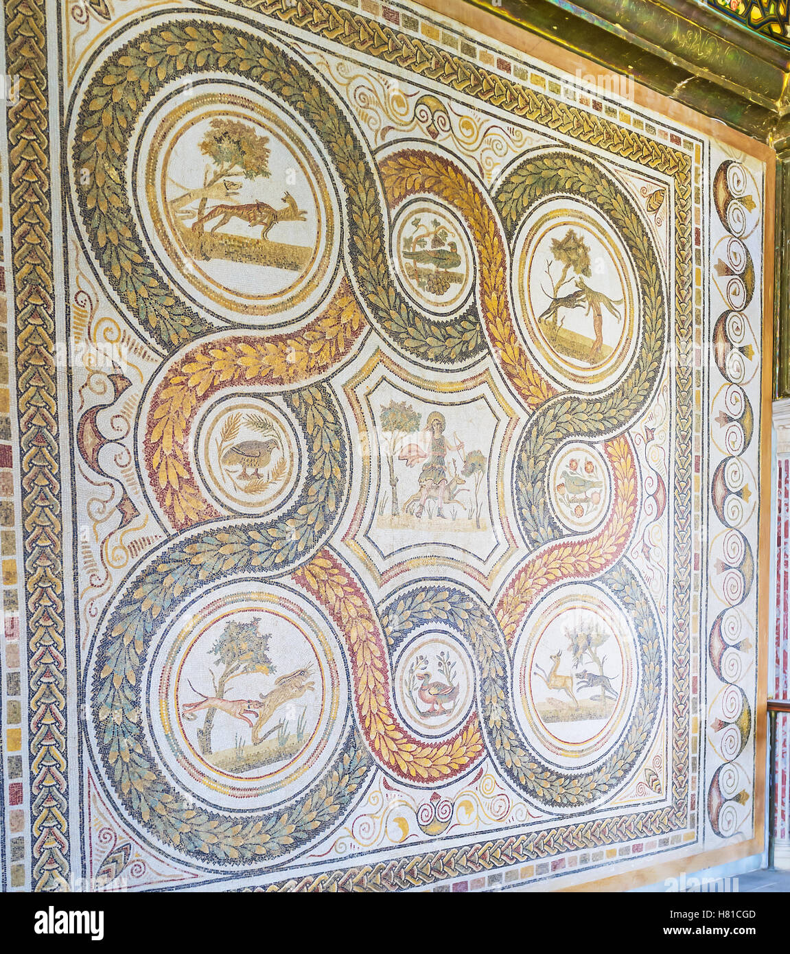 Mosaïque romaine poisson carthage Banque de photographies et d’images à ...