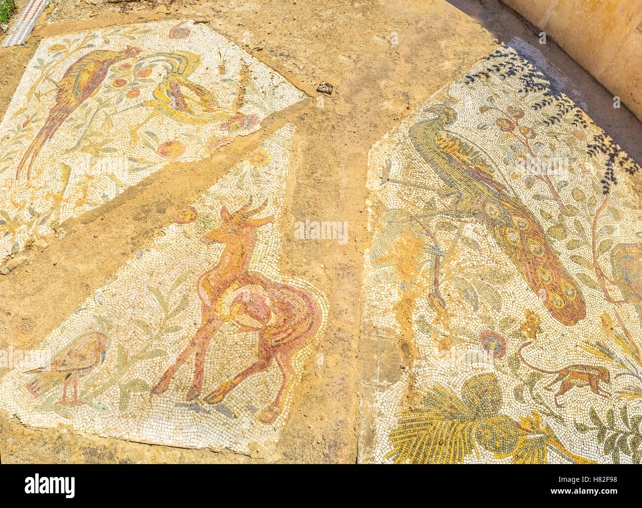 Les animaux et les oiseaux en mosaïque de Carthage en archaeologcal de ...