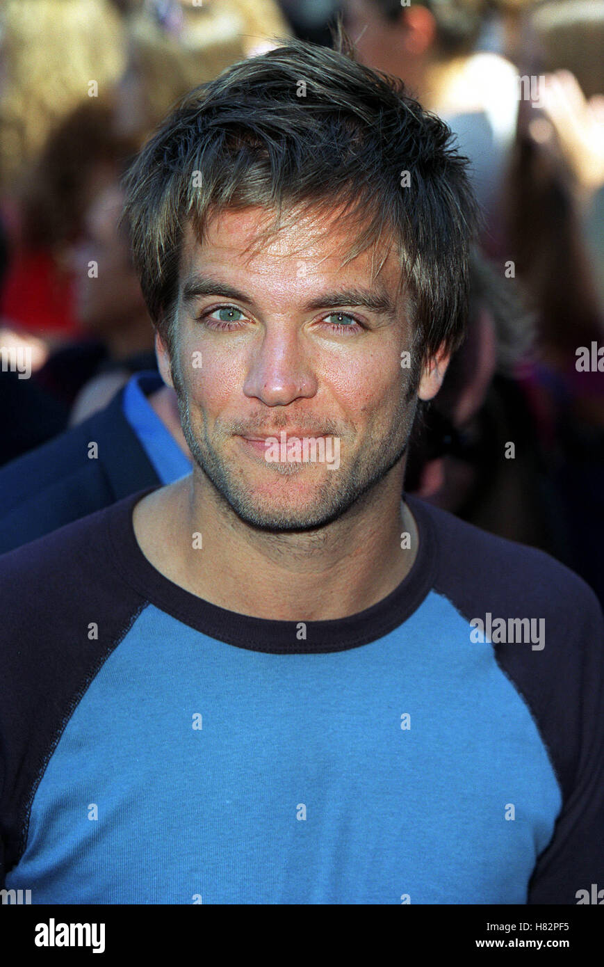 Michael weatherly Banque de photographies et d’images à haute ...