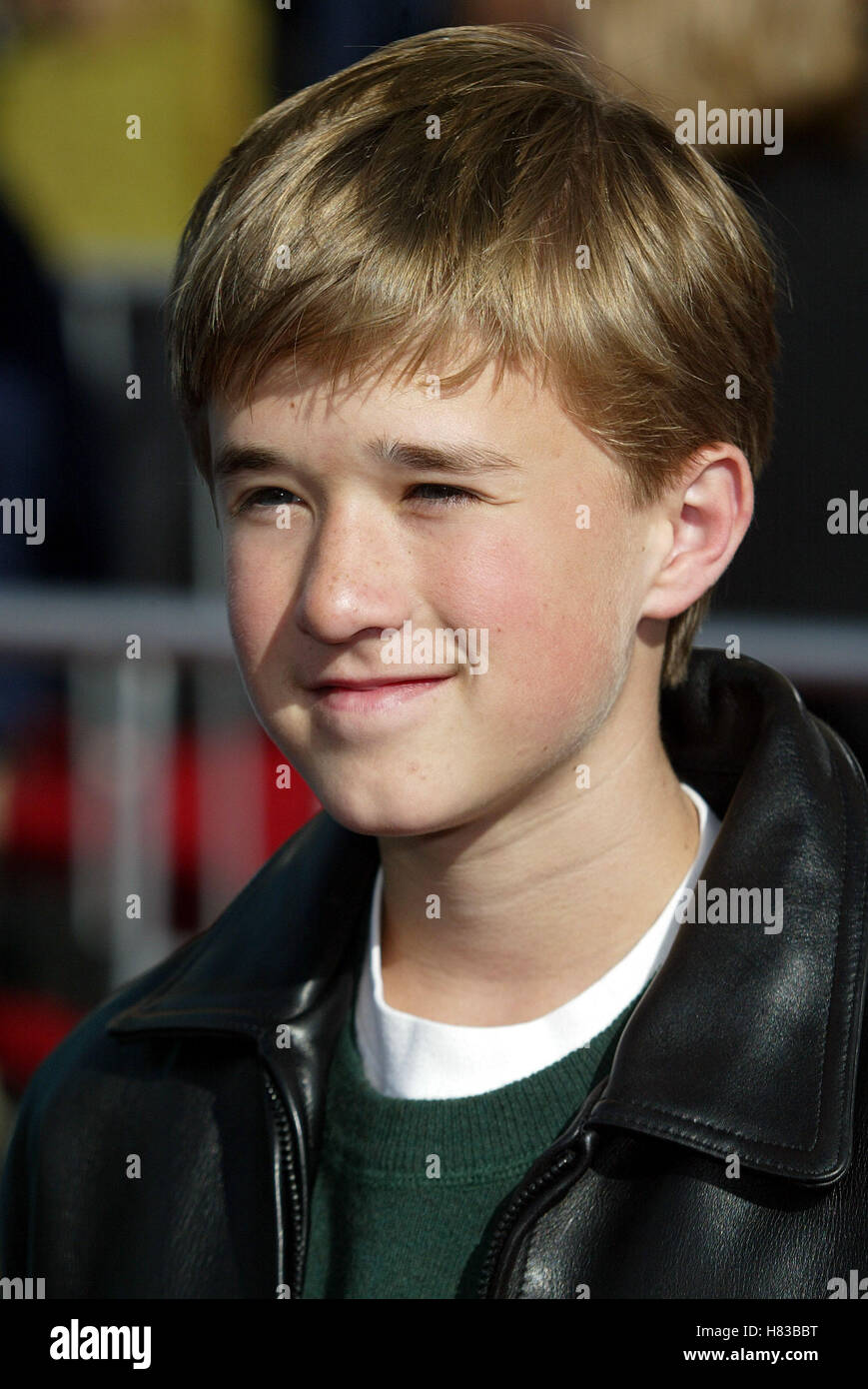 Haley Joel Osment Banque d'image et photos - Alamy
