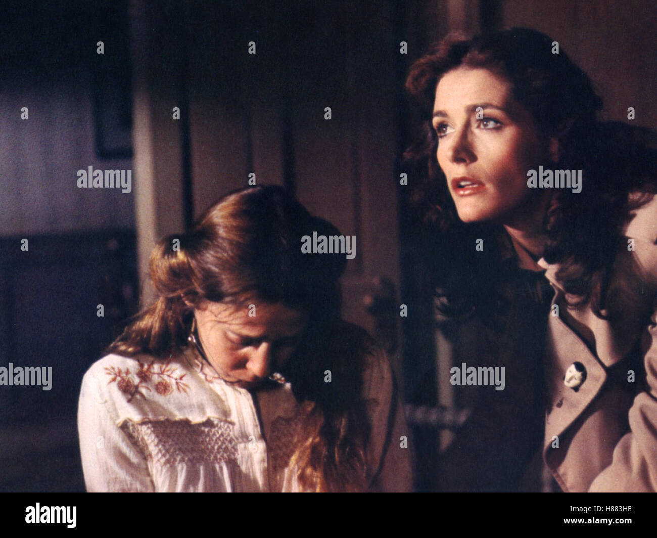 Amityville Horror, The Amityville Horror (1979) USA, Regie : Stuart ...