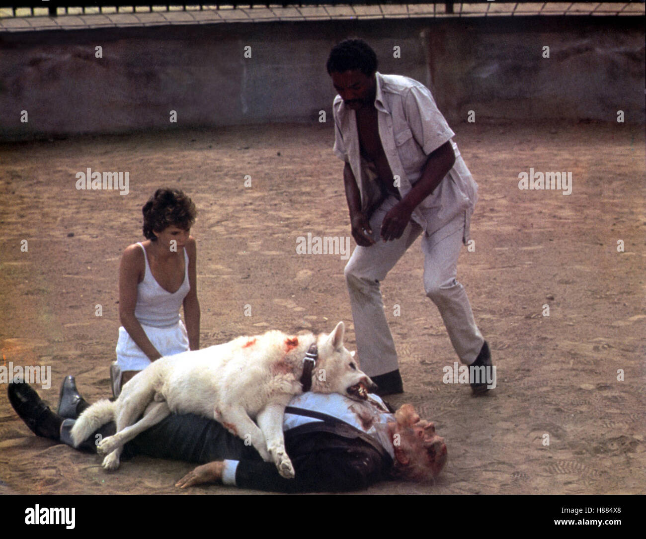 Der weisse hund von beverly hills Banque de photographies et d’images à ...