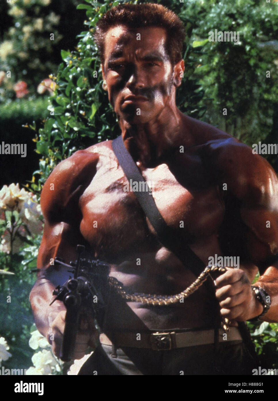 Commando 1985 arnold schwarzenegger Banque de photographies et d’images ...