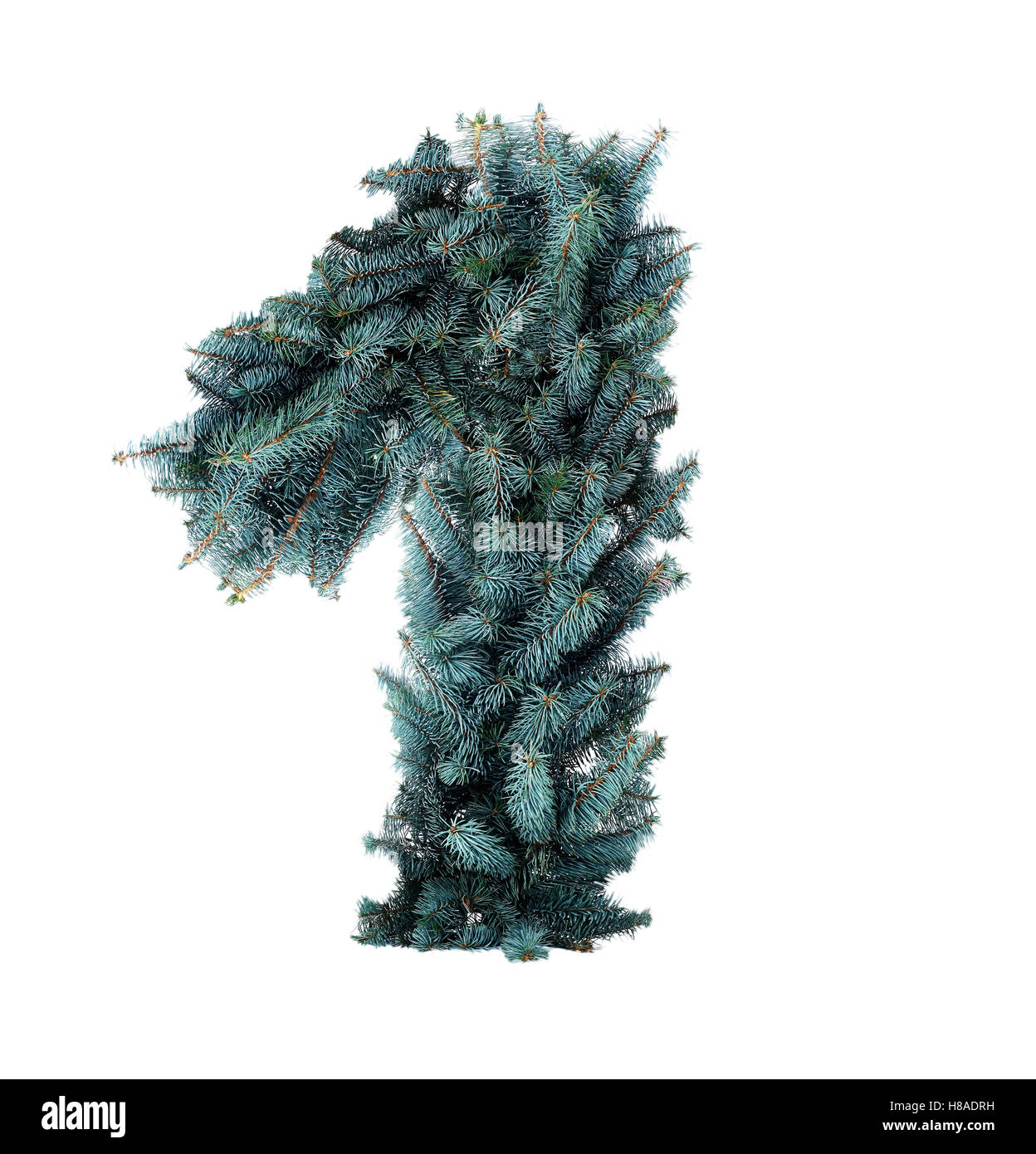 Les symboles du sapin Photo Stock - Alamy