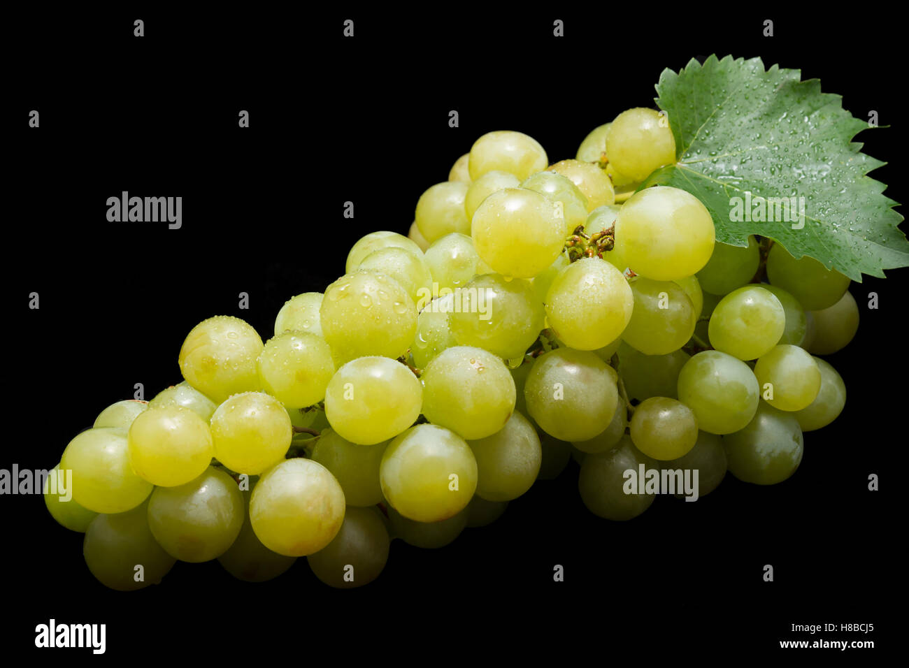 Muscat noir Banque de photographies et d’images à haute résolution - Alamy