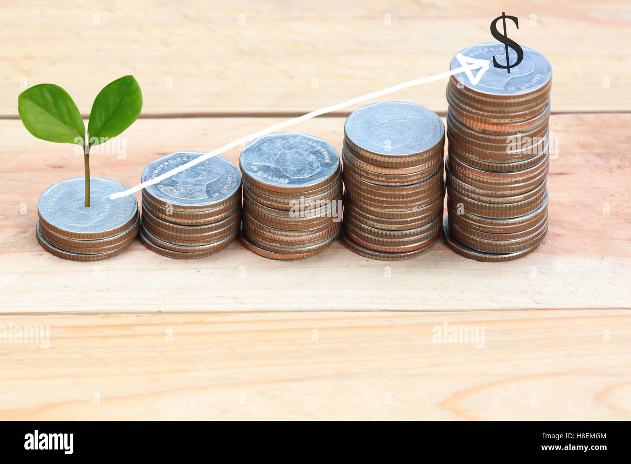 Jeune plant cultivé à la pile d'une pièce de monnaie pour la croissance ...