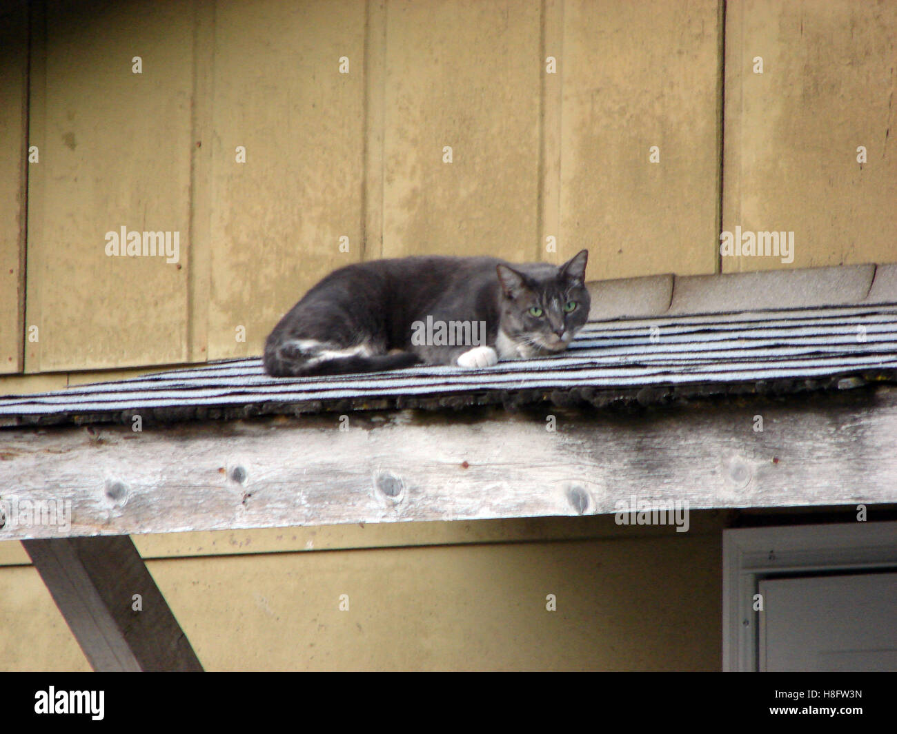 Dormir sur le toit Banque de photographies et d’images à haute ...