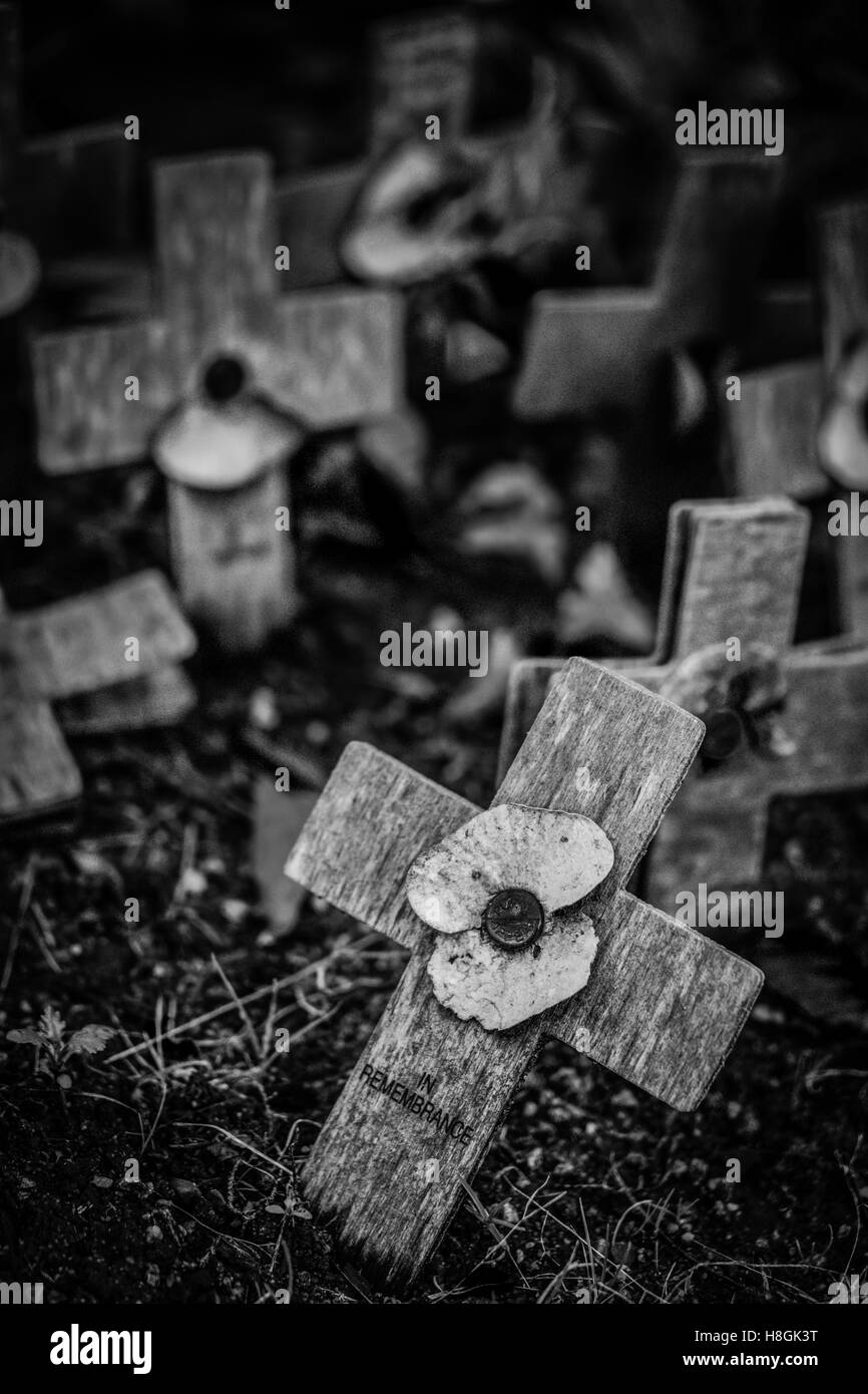 Clitheroe, Lancashire, Royaume-Uni. Un coin tranquille du jardin du ...