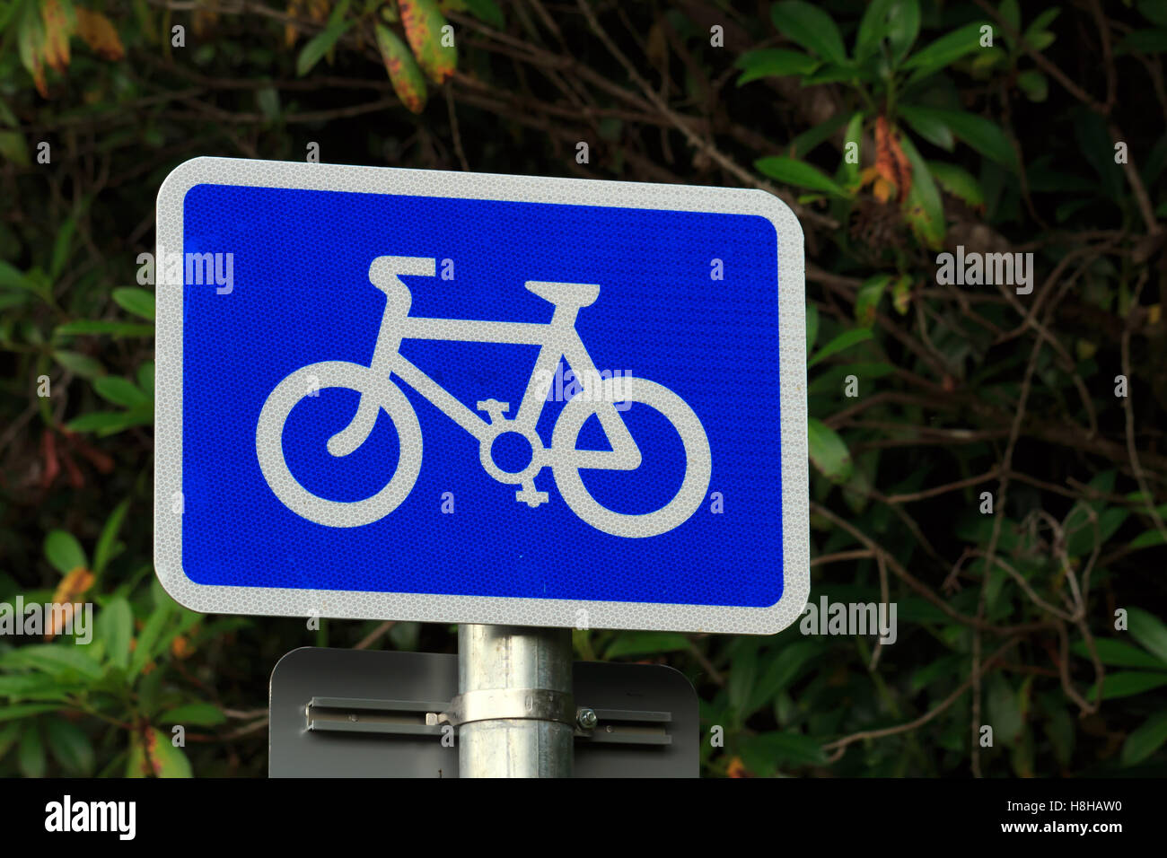Ciclo signo fondo azul Banque de photographies et d’images à haute ...