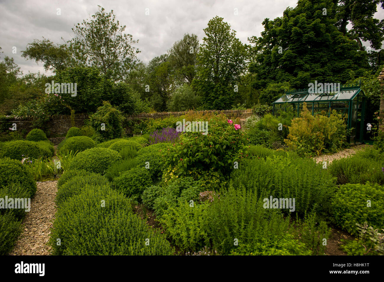 Judith hann and herbs Banque de photographies et d’images à haute ...