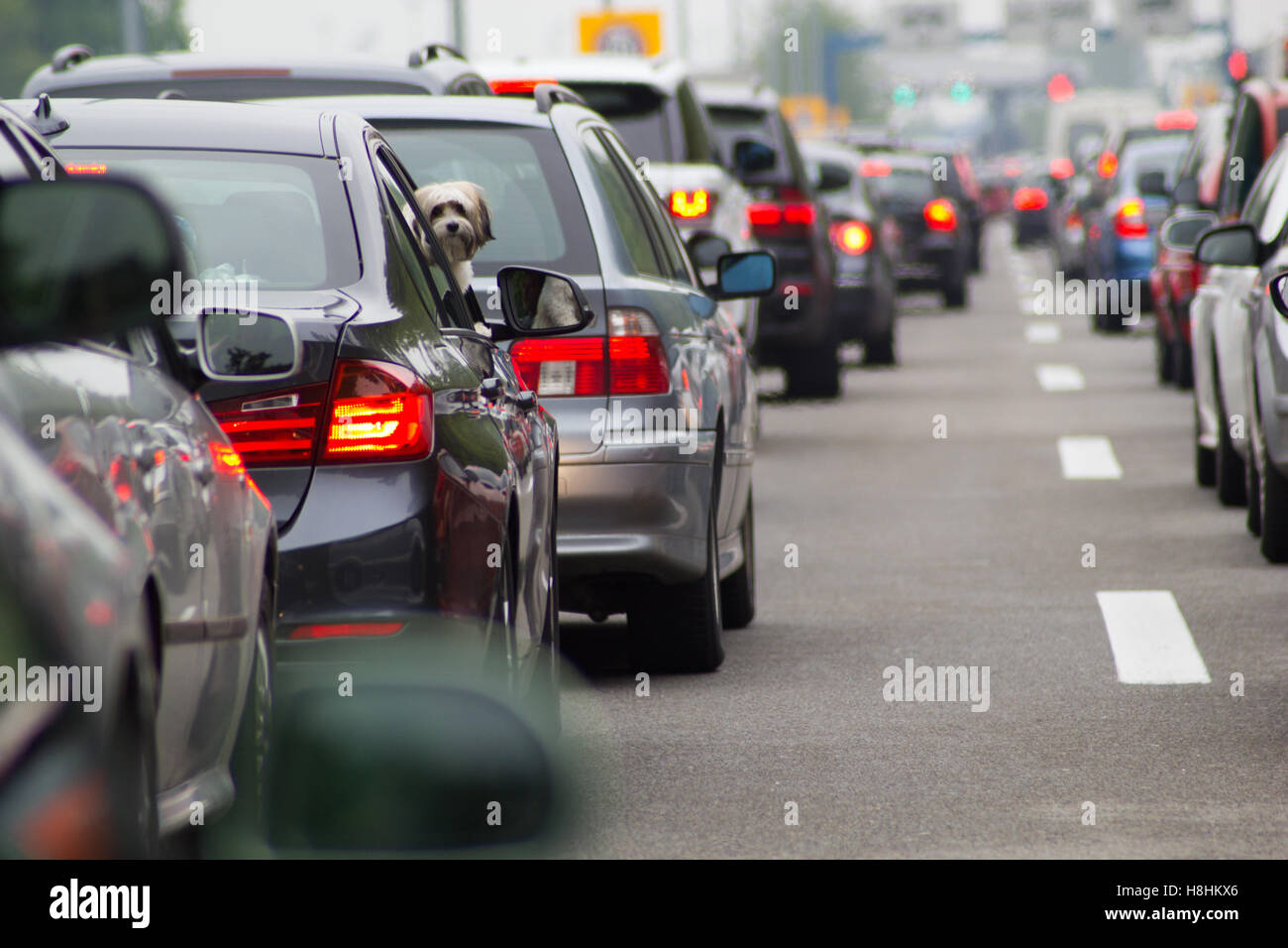 Transport autoroute embouteillage voitures route Banque de ...