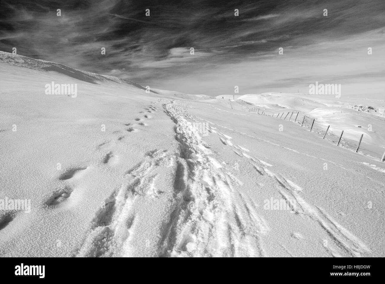 Plateau de neige Banque de photographies et d’images à haute résolution ...