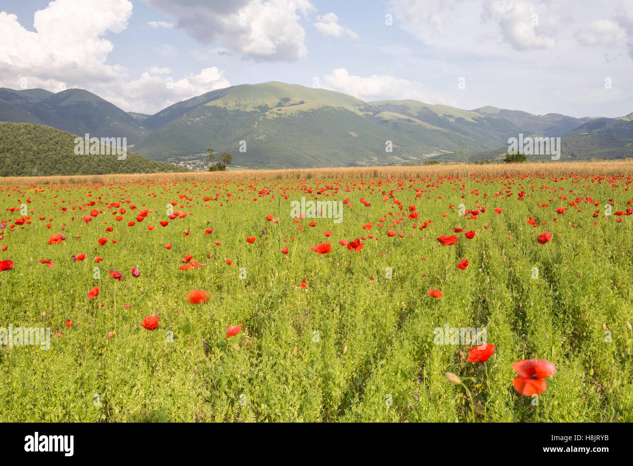 Valnerina Italy Banque d'image et photos - Alamy