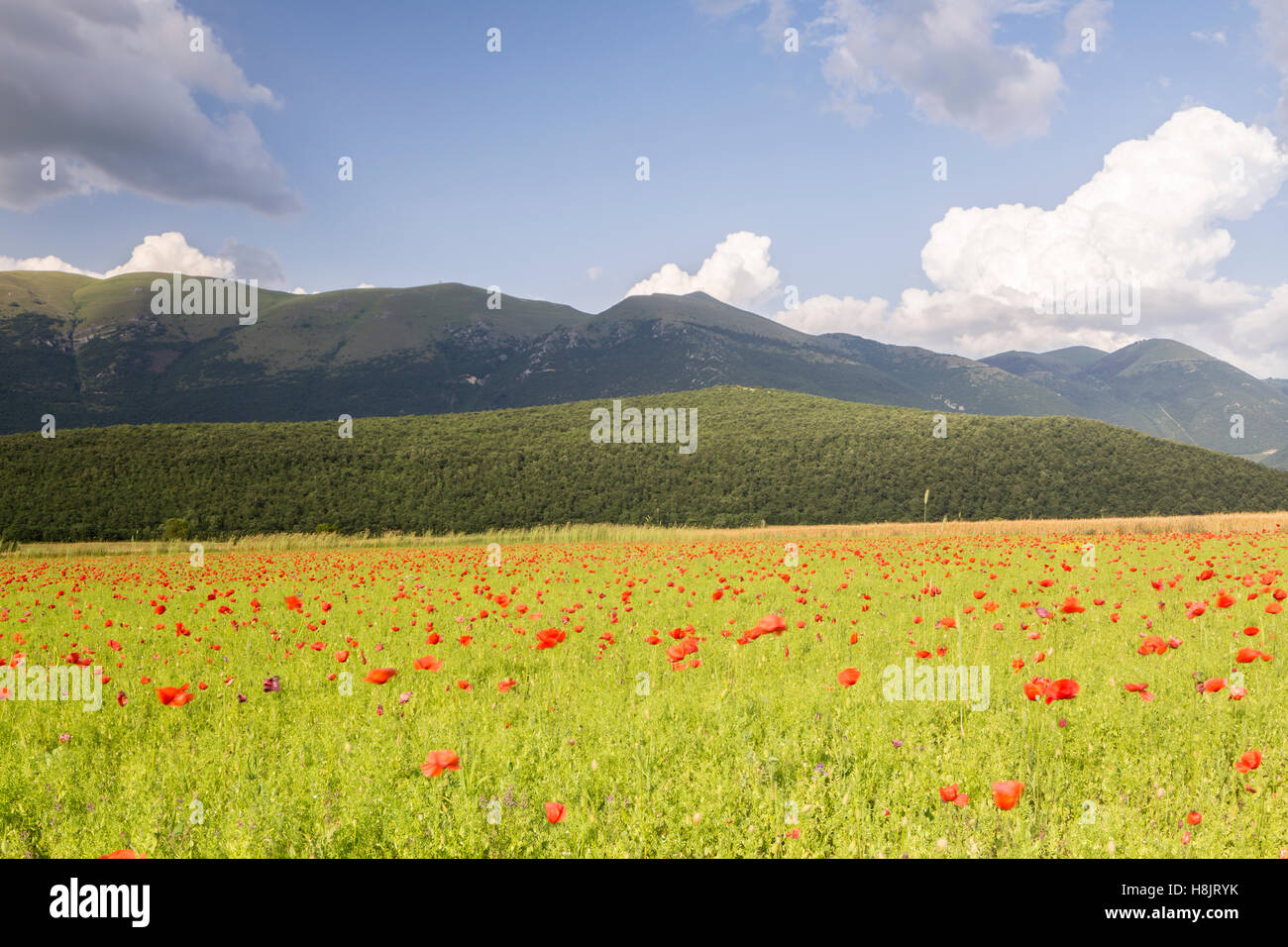 Valnerina Italy Banque d'image et photos - Alamy