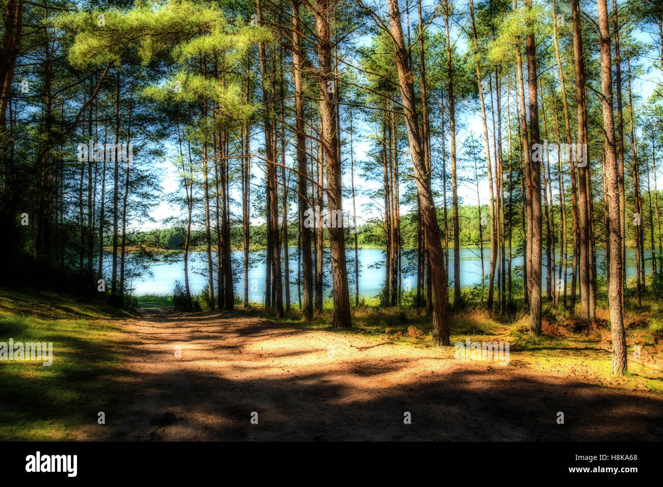 Sumer landscape Banque de photographies et d’images à haute résolution ...