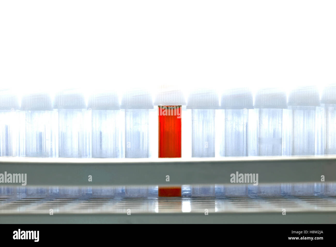 Sang transparent Banque de photographies et d’images à haute résolution ...