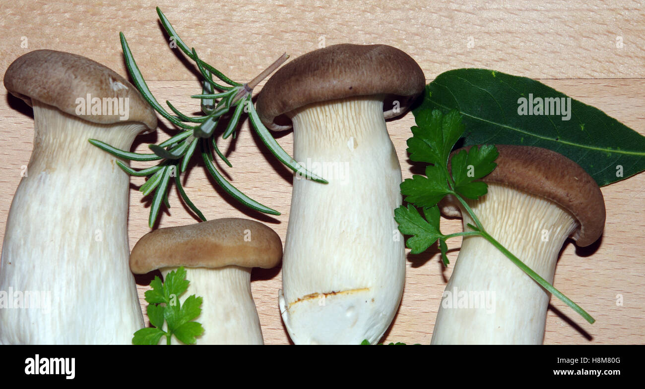 Pleurotus eryngii Banque de photographies et d’images à haute ...