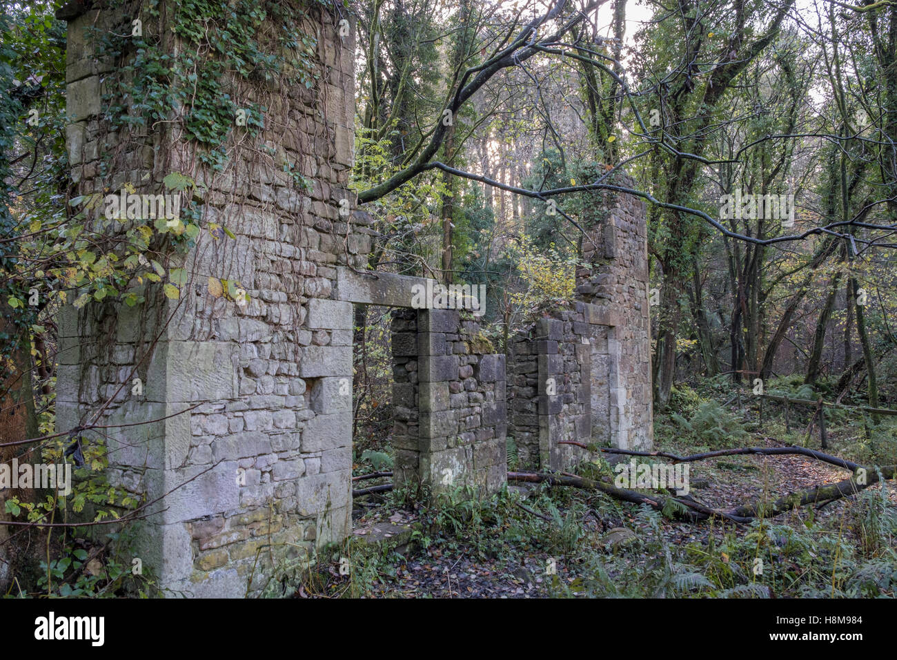 Ruine carie bois automne automne Banque de photographies et d’images à ...