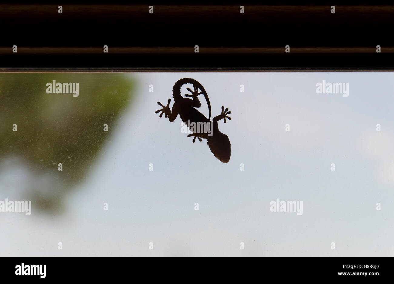 Par exemple le logo Banque de photographies et d’images à haute ...