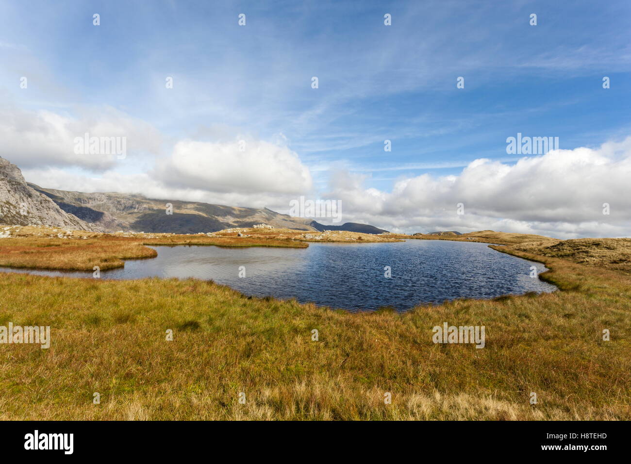 Foel fraith Banque de photographies et d’images à haute résolution - Alamy