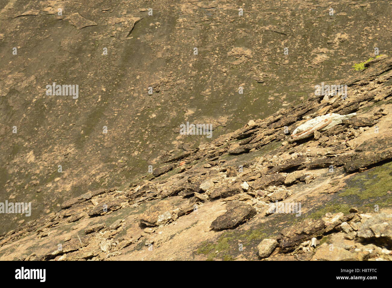 Rocky soil Banque de photographies et d’images à haute résolution - Alamy